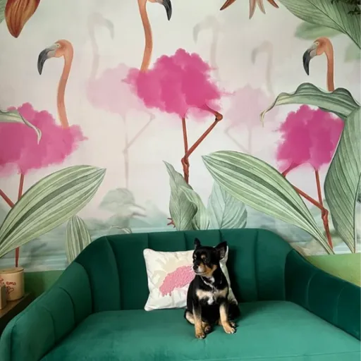 Mare Wallpaper Peel and Stick - Mural Removable Wallpaper