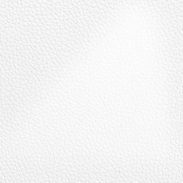 Mare Wallpaper Peel and Stick - Mural Removable Wallpaper